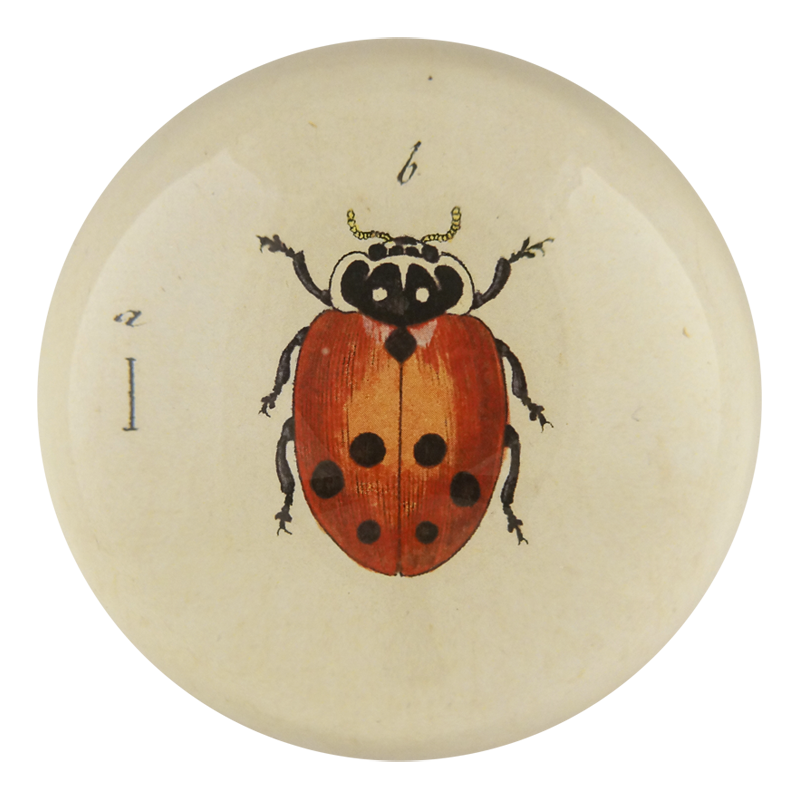 Little Ladybug Dome Paperweight – Stovall Collection