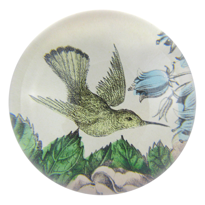Sepia Hummingbird Dome Paperweight – Stovall Collection
